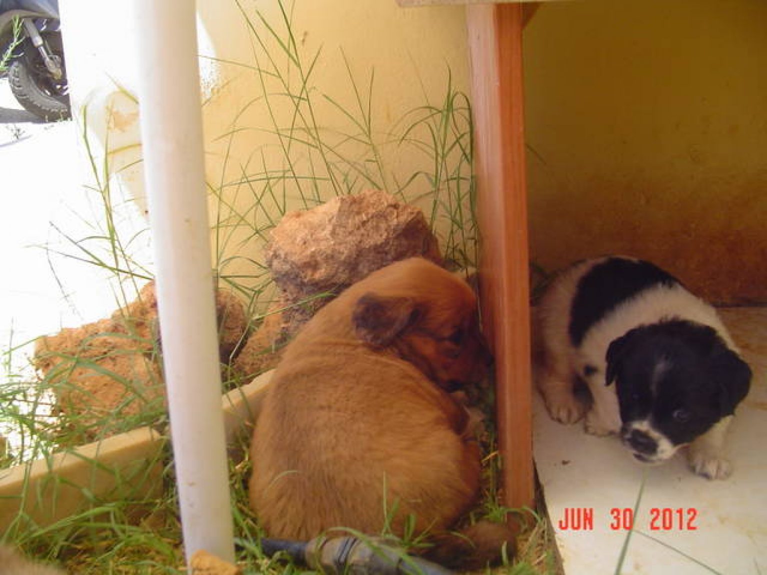 ΠΑΝΕΜΟΡΦΑ ΚΟΥΤΑΒΑΚΙΑ ΓΙΑ ΥΙΟΘΕΣΙΑ!! – Animalscare.gr