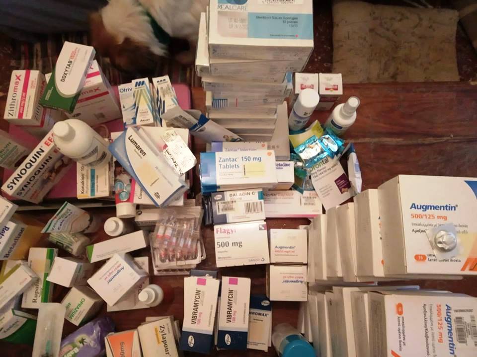 ΑΔΕΣΠΟΤΕΣ ΨΥΧΕΣ:ΜΙΑ ΔΡΑΣΗ ΓΙΑ ΤΑ ΑΔΕΣΠΟΤΑ ΖΩΑ ΤΗΣ ΠΟΛΗΣ ΜΑΣ ...