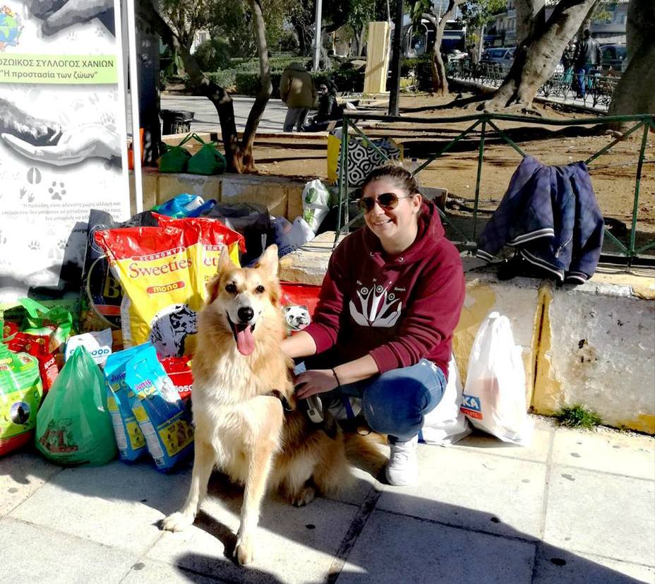 ΑΔΕΣΠΟΤΕΣ ΨΥΧΕΣ:ΜΙΑ ΔΡΑΣΗ ΓΙΑ ΤΑ ΑΔΕΣΠΟΤΑ ΖΩΑ ΤΗΣ ΠΟΛΗΣ ΜΑΣ ...